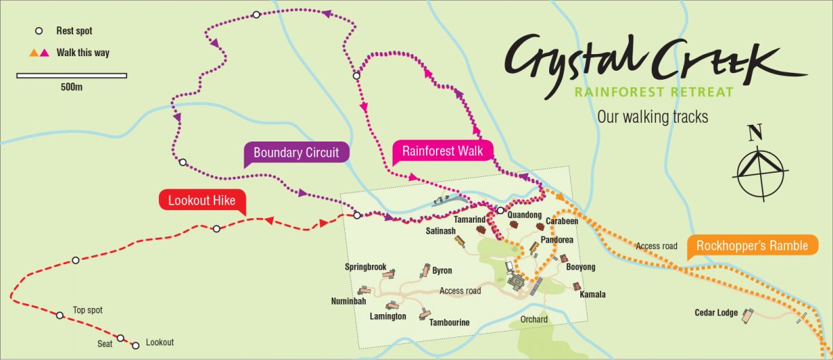 Private walking tracks and rainforest hikes, on the border of ...